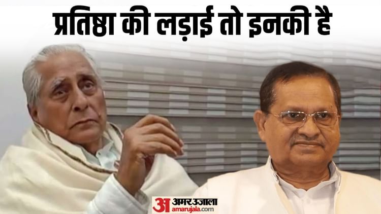 Bihar Mlc Election: Pk Candidate Defeats Grand Alliance In Saran, Bjp ...