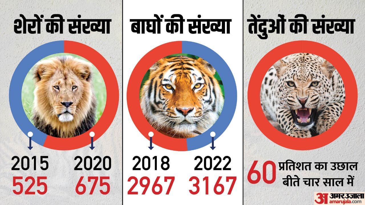 Pm Modi Bandipura Tiger Reserve Visit Pm Released Tiger Count Numbers ...
