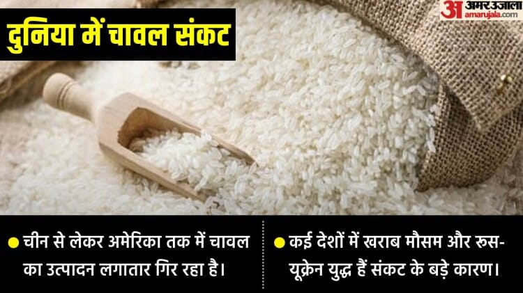 Rice Shortage: Shortage Of Rice In Many Countries Its Impact And Option ...