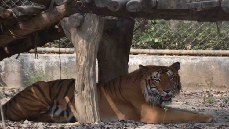 Kanpur Weather: Speed Of Heat Increases Due To Climate Change - Amar ...