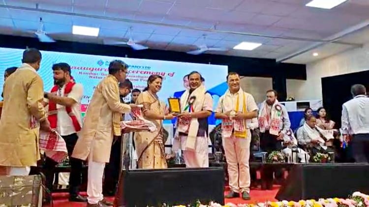 Tree Planted On Barren Land Of Rajasthan Forest Department Barmer ...