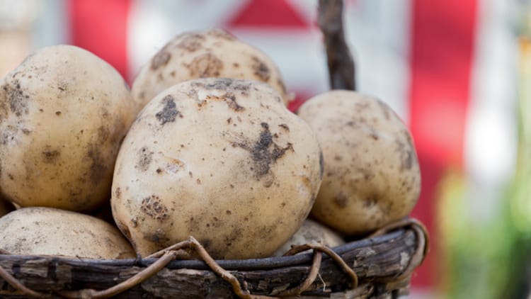World Most Expensive Ptato Le Bonnotte Cultivated In France Cost About ...