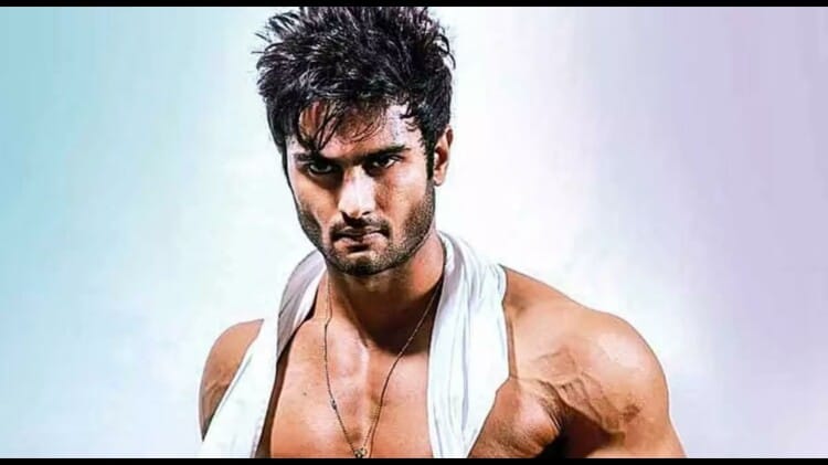 Sudheer Babu:साउथ फिल्मों के बाद 'बागी' के विलेन बन बॉलीवुड में छाए ...