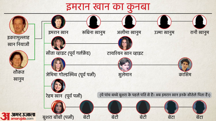 Imran Khan Family: Father Was A Civil Engineer, Imran The Only Brother ...