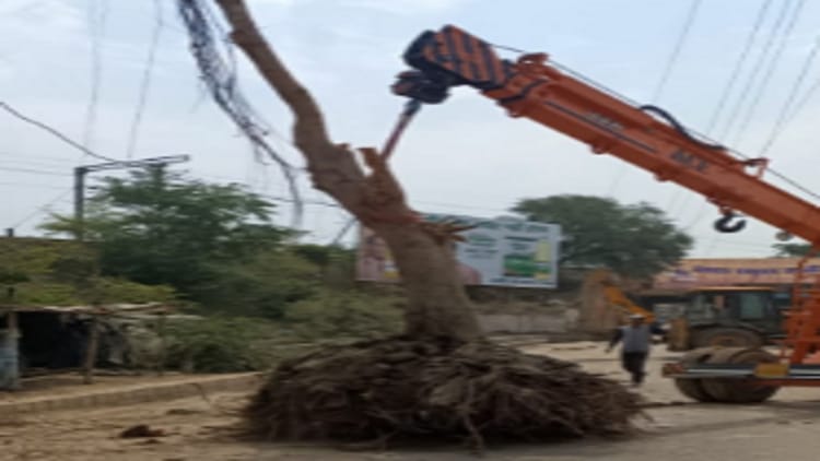Instead Of Cutting The Peepal Tree Which Obstructed The Construction Of ...