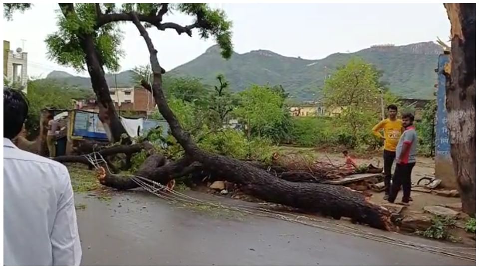 The Storm Caused Havoc In Jhunjhunu Khetri Many Trees Broken Electric ...