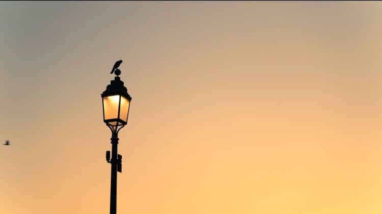 The Old Lamp Post: Memory History And Story Of Lamp Post - Amar Ujala ...