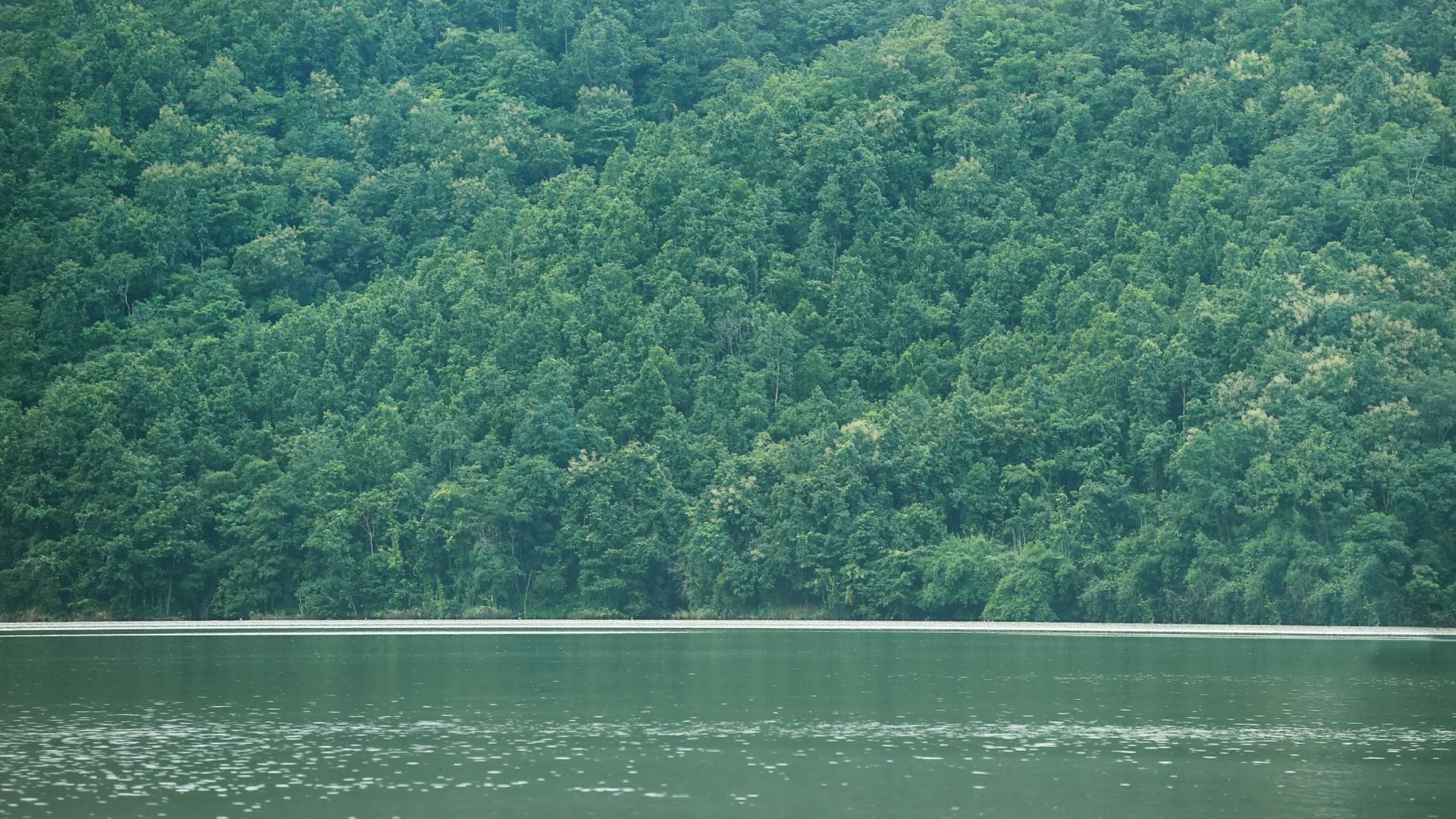 Fundudzi Lake Water Leads To Death Know What Is The Story Behind Lake ...