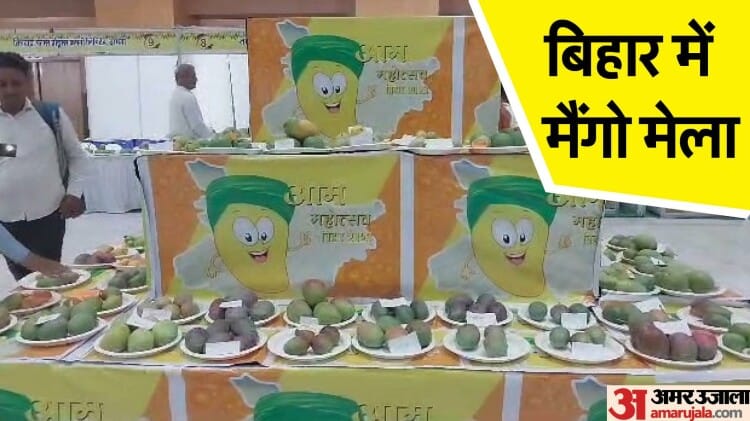 Bihar News: Festival Of King Of Fruits In Patna, Mango Shiromani Samman ...