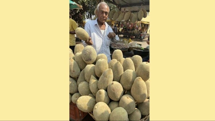 Khurasani Imli:मांडू की कीमती इमली, प्रशासन ने कंपनी को बेची, अब ...