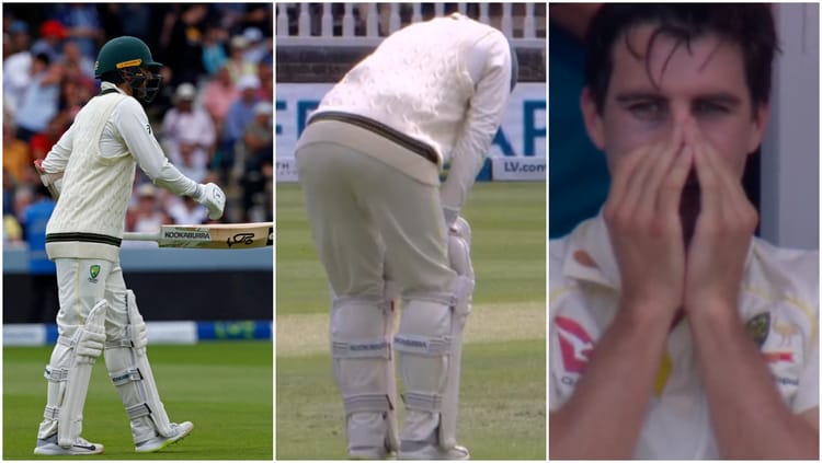 Ashes Injured Nathan Lyon Wins Hearts Batted With A Limp The Audience ...