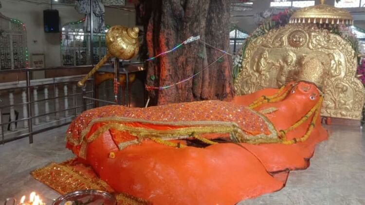 Chhindwara: Devotees Fair Held In Jamsanwali On Guru Purnima, Devotees ...