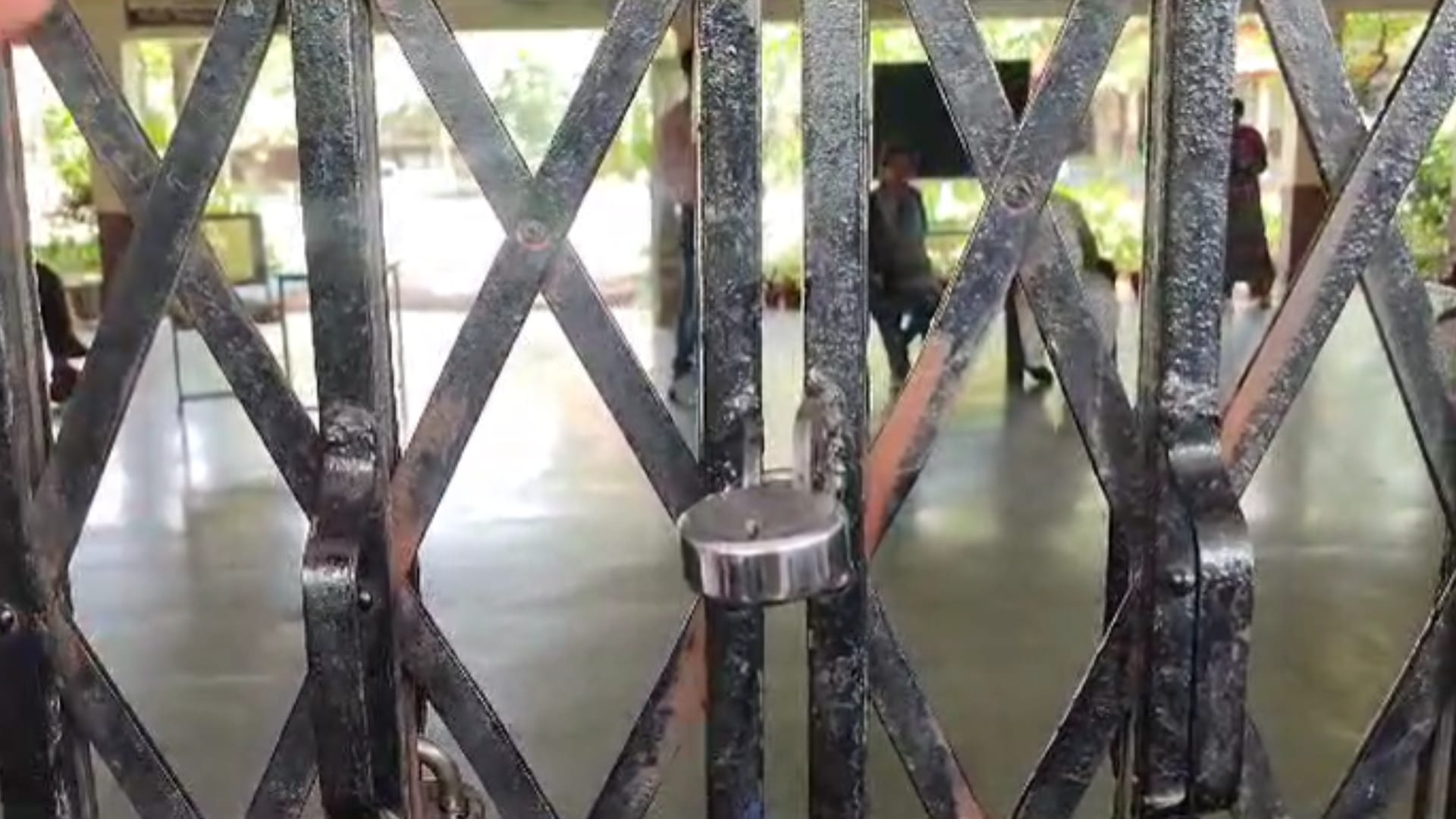 Rajgarh News:परीक्षा परिणाम में अनियमितता का आरोप, फर्स्ट ईयर के ...