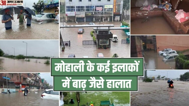 मोहाली से भारी बारिश की तस्वीरें:सड़कें बनी तालाब, घरों में घुसा पानी ...