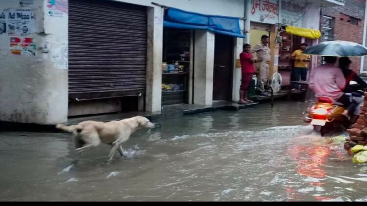 Mainpuri Weather News:जलभराव से आमजन त्रस्त, बारिश से नाले उफनाए; गंदे ...