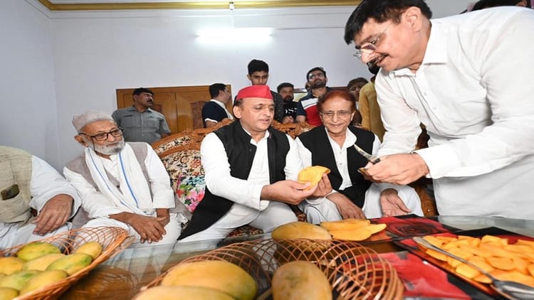 Akhilesh's Political Bet On The Pretext Of Mango Feast, Seen With Azam ...