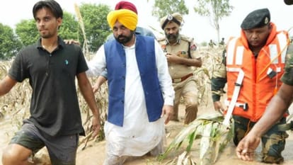 Punjab Flood:आज से खुलेंगे स्कूल, 100 गांव अब भी बाढ़ की चपेट में, पौंग ...