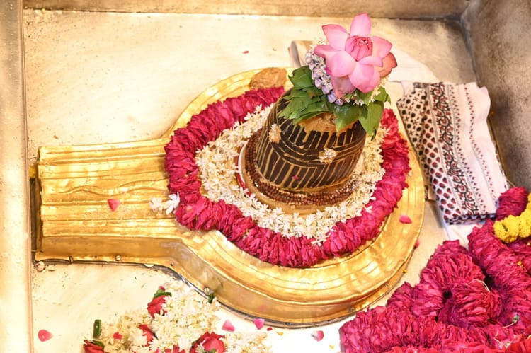 Gyanvapi Vyasji Tehkhana Worship Will Be Done Like Kashi Vishwanath ...