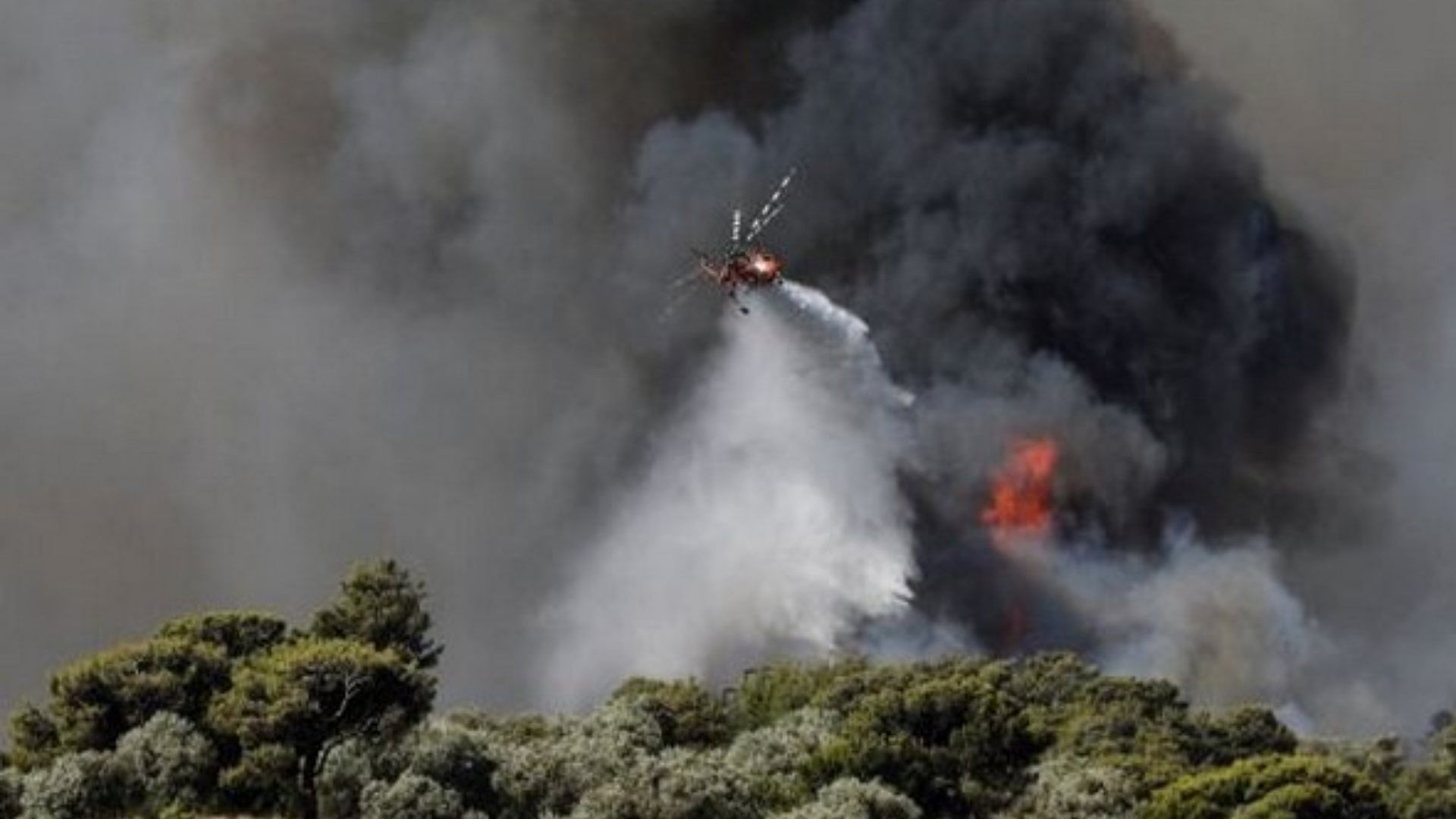 Greece Wildfires In 62 Places Forest Destroyed Europe Heatwave Weather ... Greece Wildfires In 62 Places Forest Destroyed Europe Heatwave Weather ...
