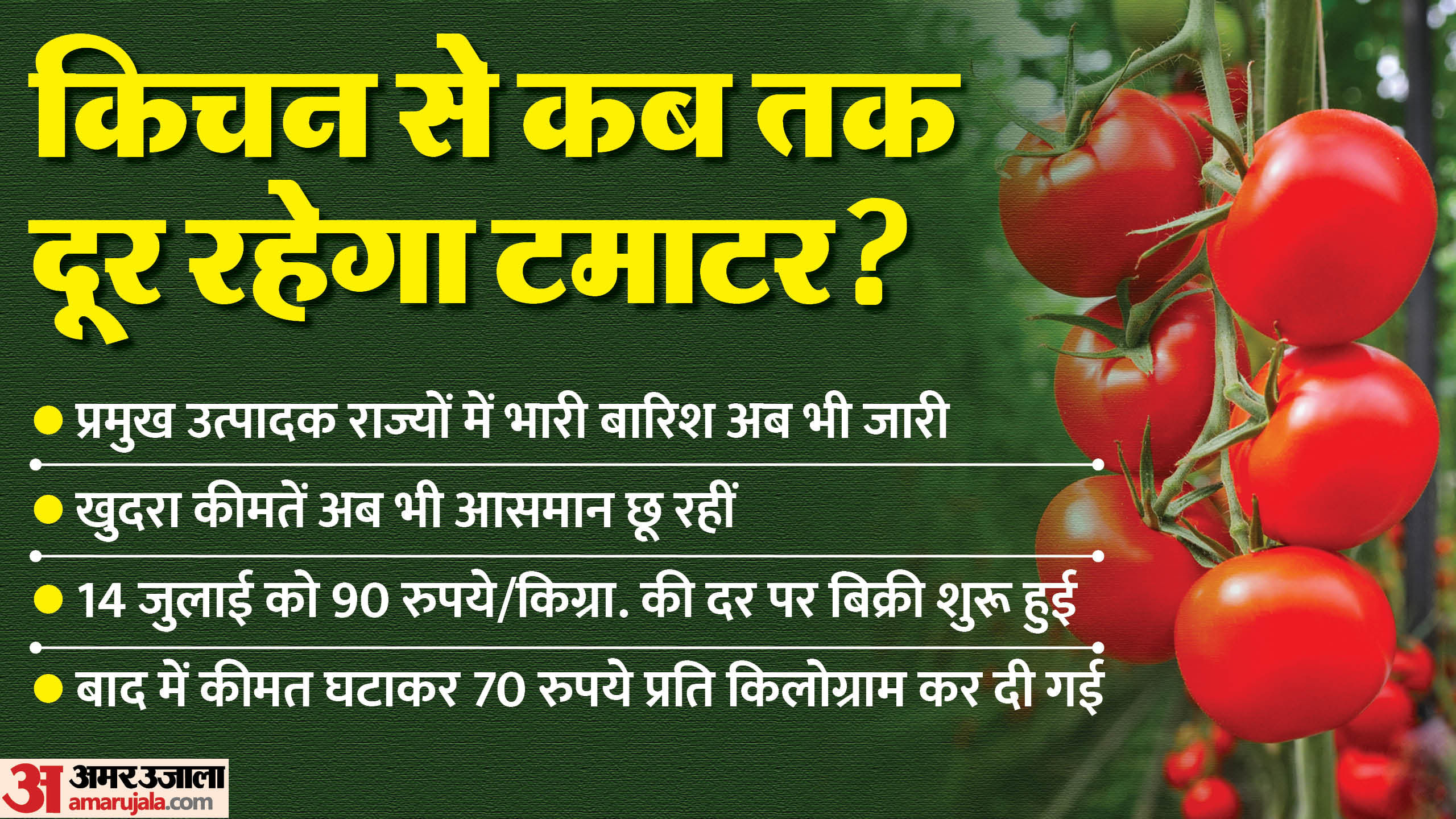 Nccf Sells 560 Tons Tomatoes In Last 15 Days At Subsidised Rate In Delhi Up Rajasthan Know All ...