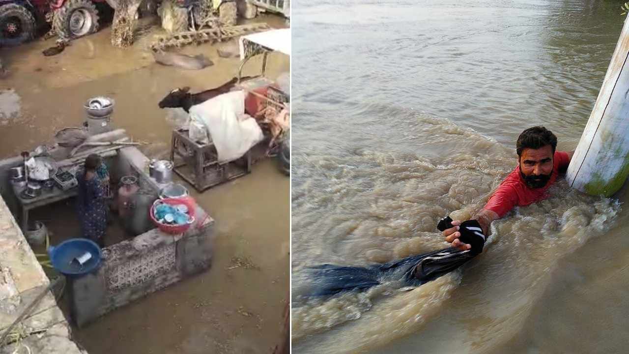 50 Villages In The Grip Of Flood In Firozpur Of Punjab - Amar Ujala Hindi News Live - Punjab ...