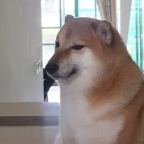 Cheems Death: कई वायरल मीम में दिखे चीम्स कुत्ते की मौत, सोशल मीडिया पर ...