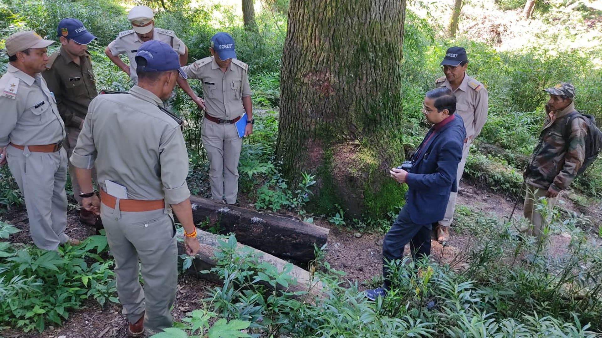 उत्तराखंड:पेड़ों का कत्ल कर जंगल में ही दफना दिए हथियार, पेड़ काटने के ...