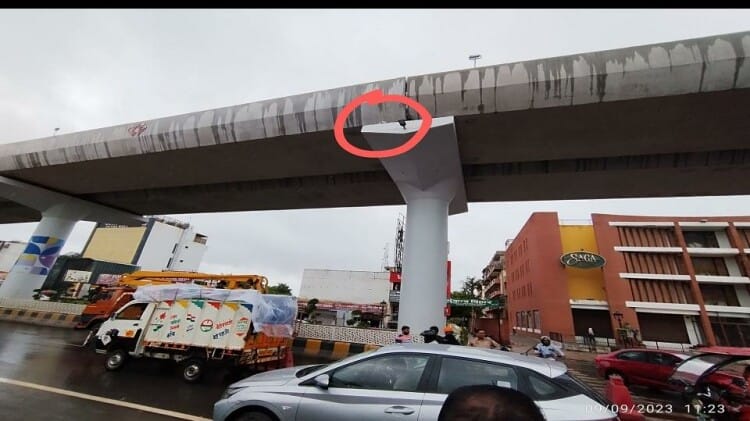 Cat Stuck In Agra Metro Pillar Crane Called To Rescue - Amar Ujala ...