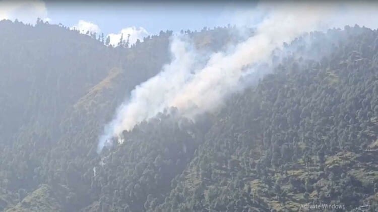 Fire Breaks Out In Kullu Forests, Huge Damage To Forest Wealth - Amar ...