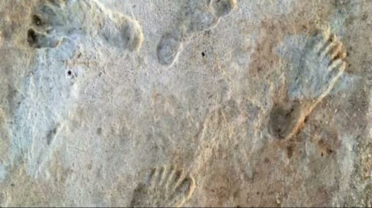 Oldest Human Footprints Found Here Are 23 Thousand Years Old Discovery ...