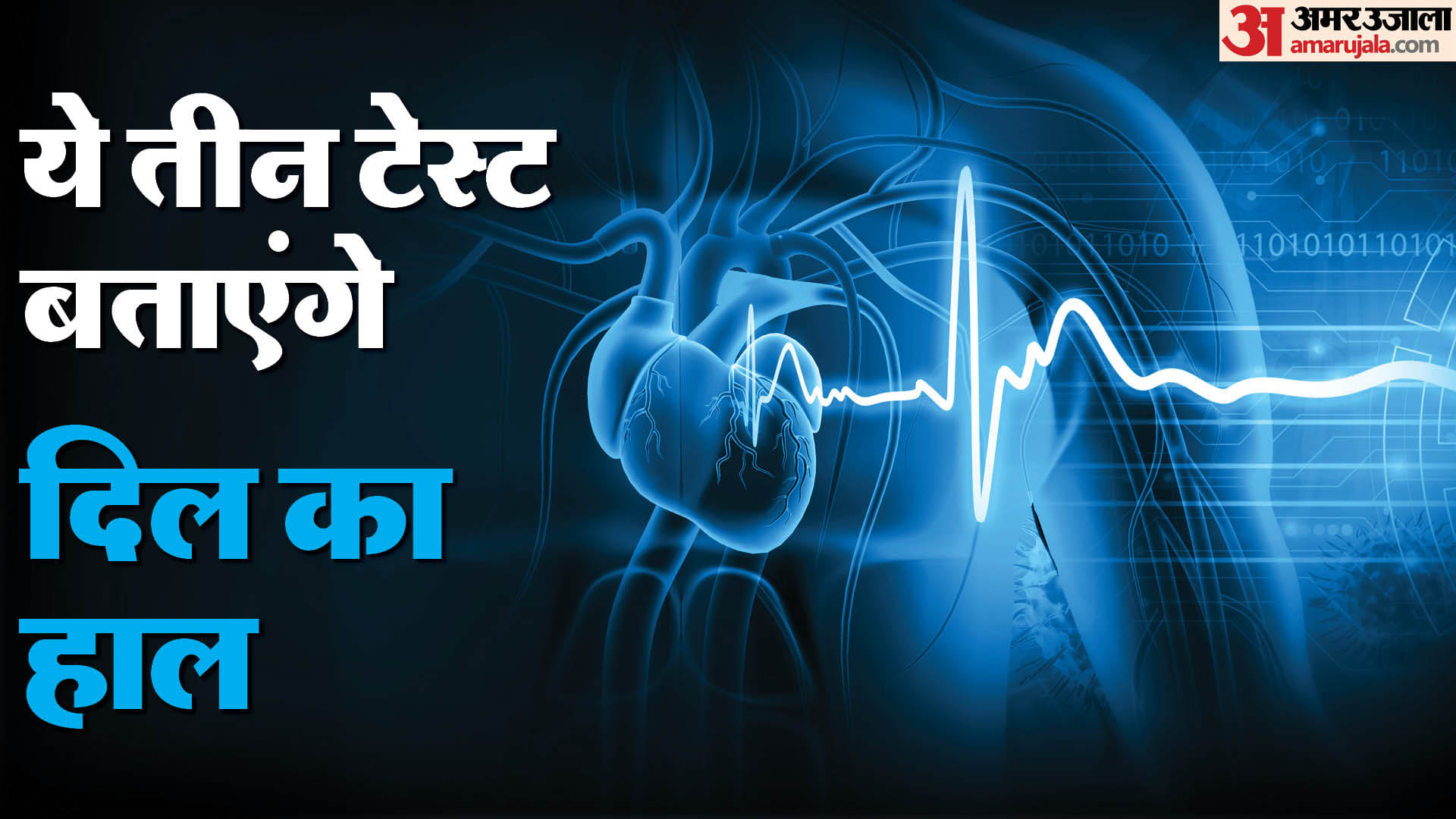 Heart Attack: Ecg, Echo And Tmt Tests Will Tell You How Strong Your ...
