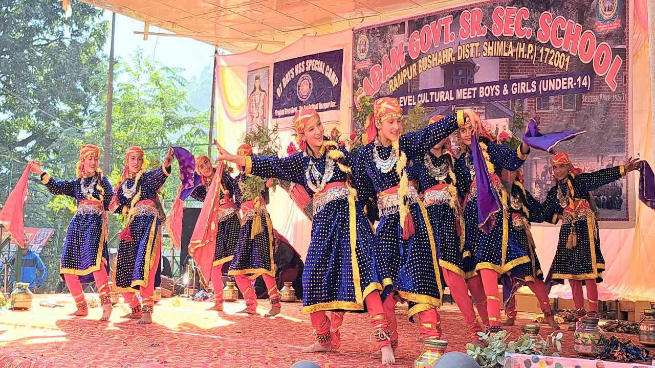 State Level Cultural Competition: Girls From Shimla District Topped In ...
