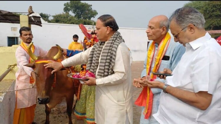 Go Pujan Performed At Shri Krishna Birth Place Including Vrindavan Radha Kund On Occasion Of ...