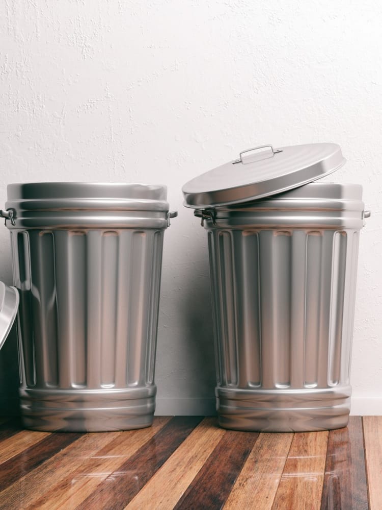 घर की छत पर कूड़ेदान रखना सही या गलत?