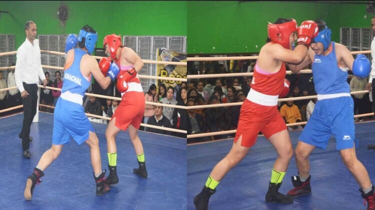 Inter College Women's Boxing Competition: Rkmv Shimla Dominates ...