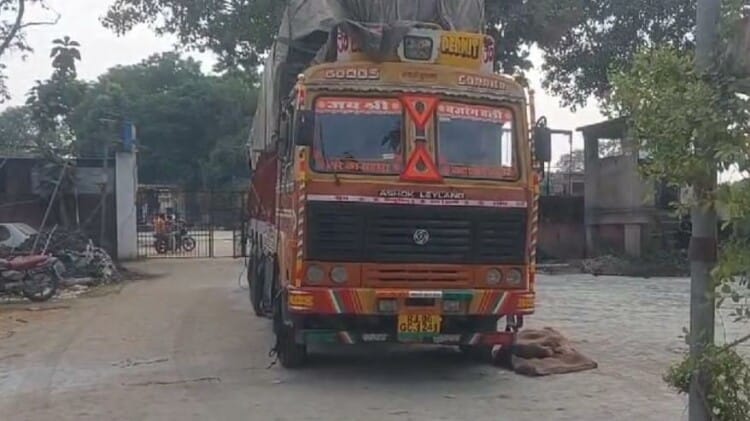 Bihar Police Recovered Turtles Smuggled From Up To West Bengal ...