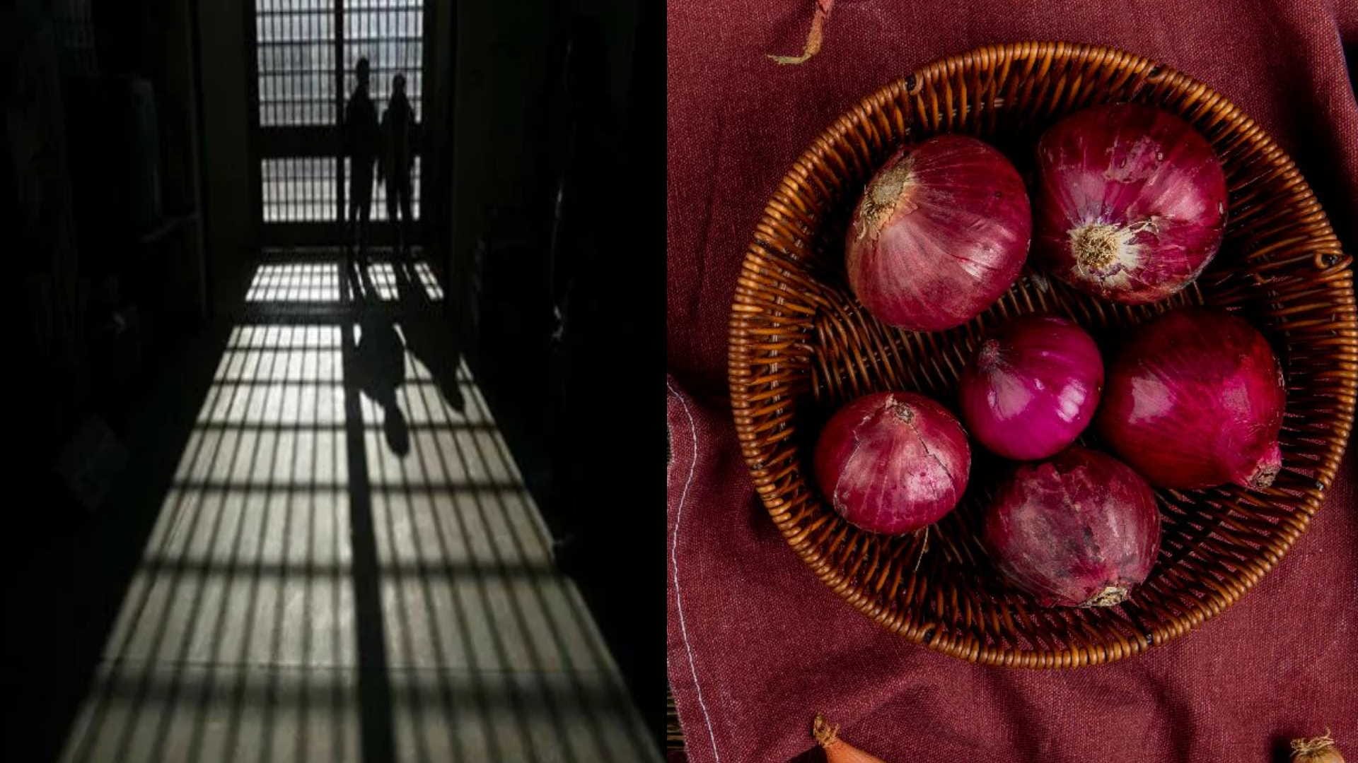 Republic Of Molossia Micronation Founded By Kevin Baugh In 1999 Details ...