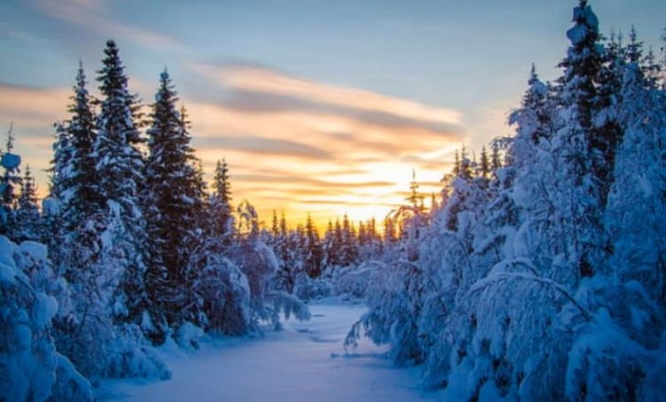 Mohammad Alvi Ki Ghazal Sardi Men Din Sard Mila - Amar Ujala Kavya ...