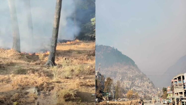 Kullu News: Forests Burning In Kullu District, Fire Broke Out In ...