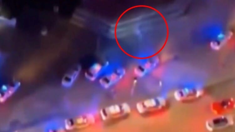 Alien Video: Miami Mall Aliens Cops Address Nephilim Like Creature ...