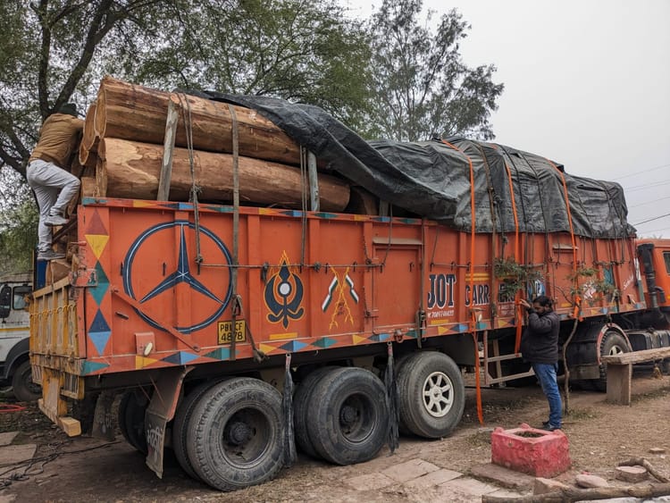 Rewa News:फर्जी tp बनाकर कर रहे थे तस्करी, रीवा में वन अमले की कार्रवाई ...