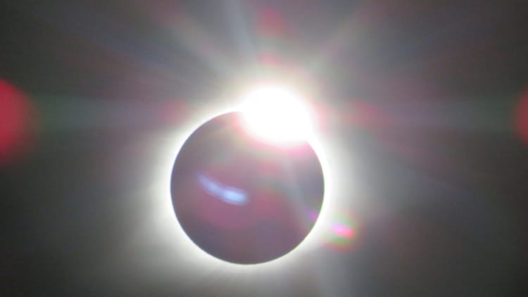 Total Solar Eclipse 2024: Solar Eclipse Effect On Birds Insects And Plant Scientists Will Study ...