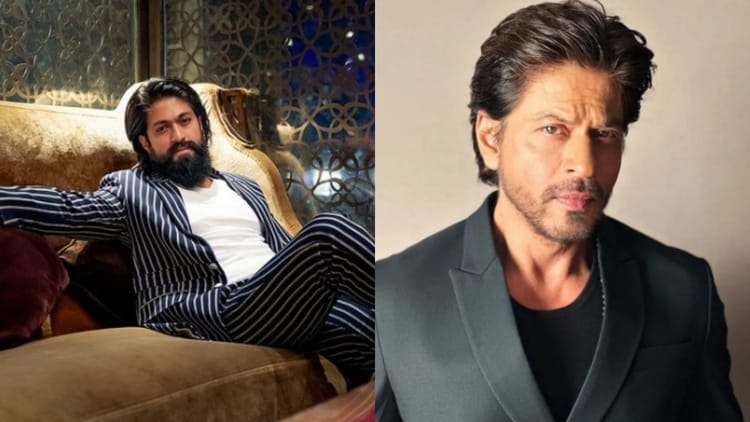 Toxic Actor Yash Reacts On Rumors Of Being Working Shah Rukh Khan In ...