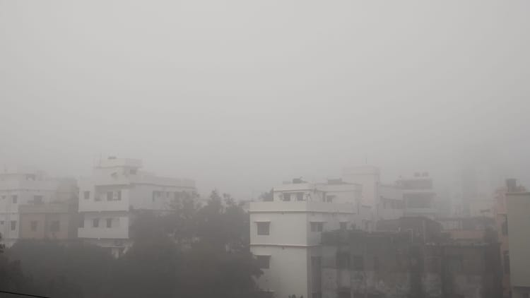 Bihar Weather: Dense Fog In Many Areas Including Patna In The Morning ...