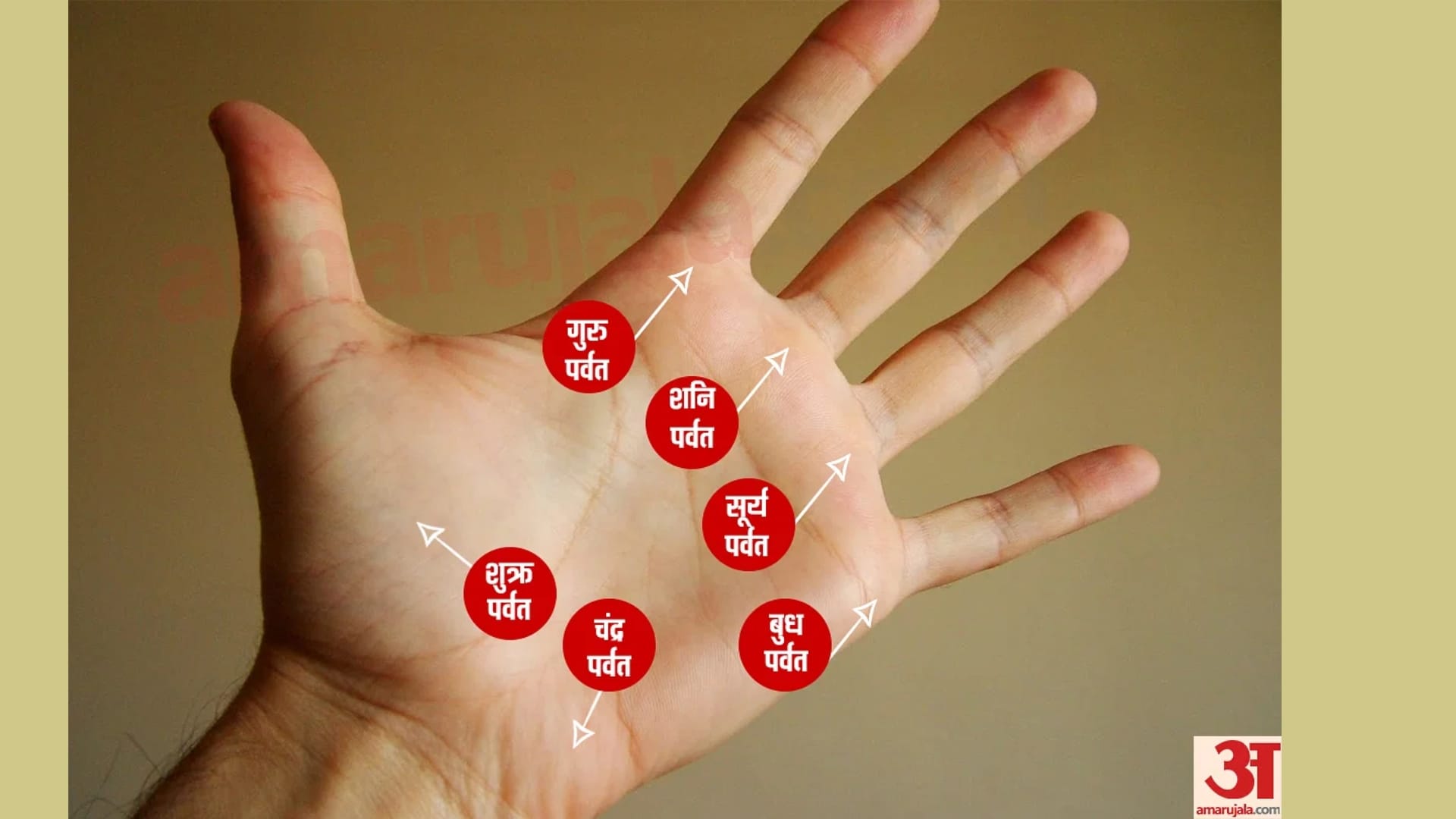 हाथ की इस उंगली के नीचे होता है बुध पर्वत, जानें इस पर्वत के शुभ-अशुभ ...