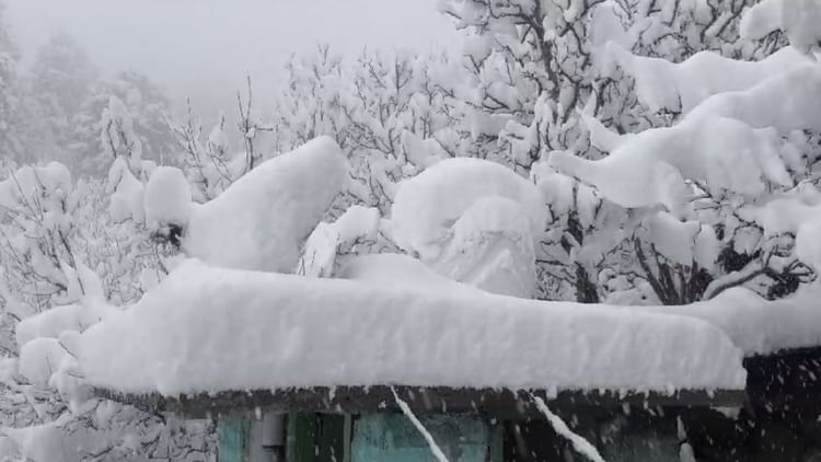 Himachal Pradesh Weather Update Today: Imd Heavy Rainfall Alert In ...