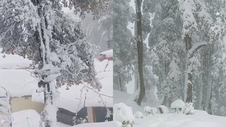 Snowfall In Many Upper Areas Of Himachal Pradesh - Amar Ujala Hindi News Live - Himachal Weather ...