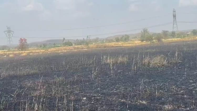 Damoh News: 25 Acres Of Wheat Crop Destroyed Due To Short Circuit In ...