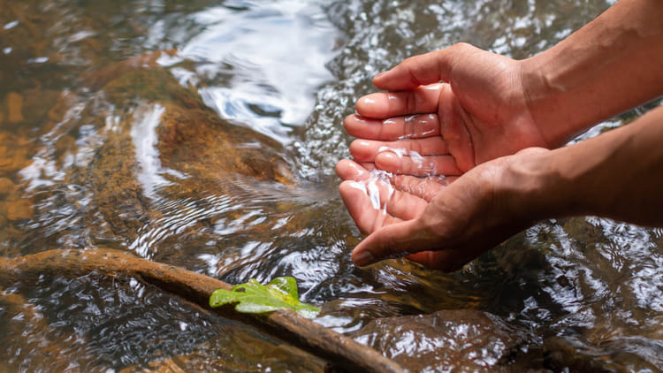 World Water Day 2024 Alok Dhanwa Ki Kavita Sirf Pani Ki Rat Hai - Amar ...