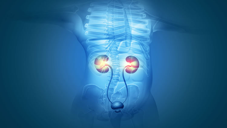 Laser Surgery Will Be Done For Kidney Stones And Prostate Without Any ...